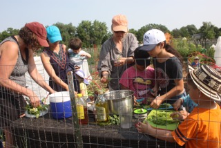 Cooking in the Garden | Children's House Preschool